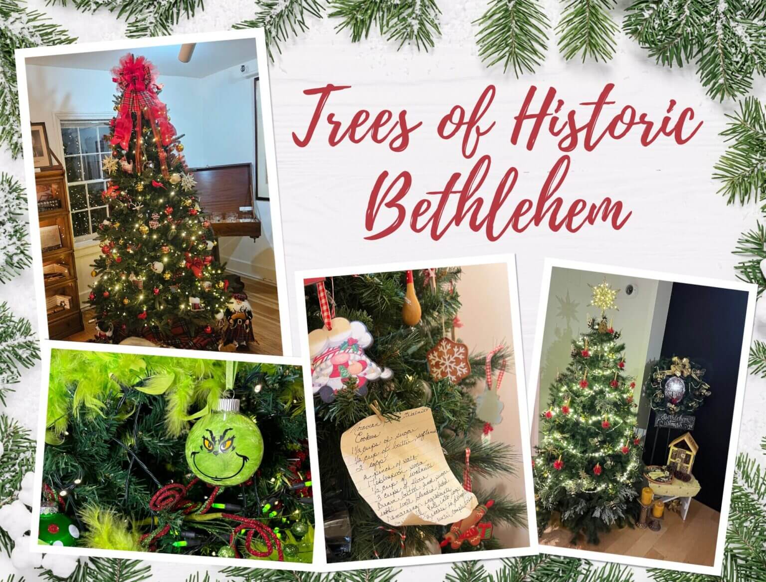 Trees of Historic Bethlehem – Best of: Highlighting the Top Christmas ...